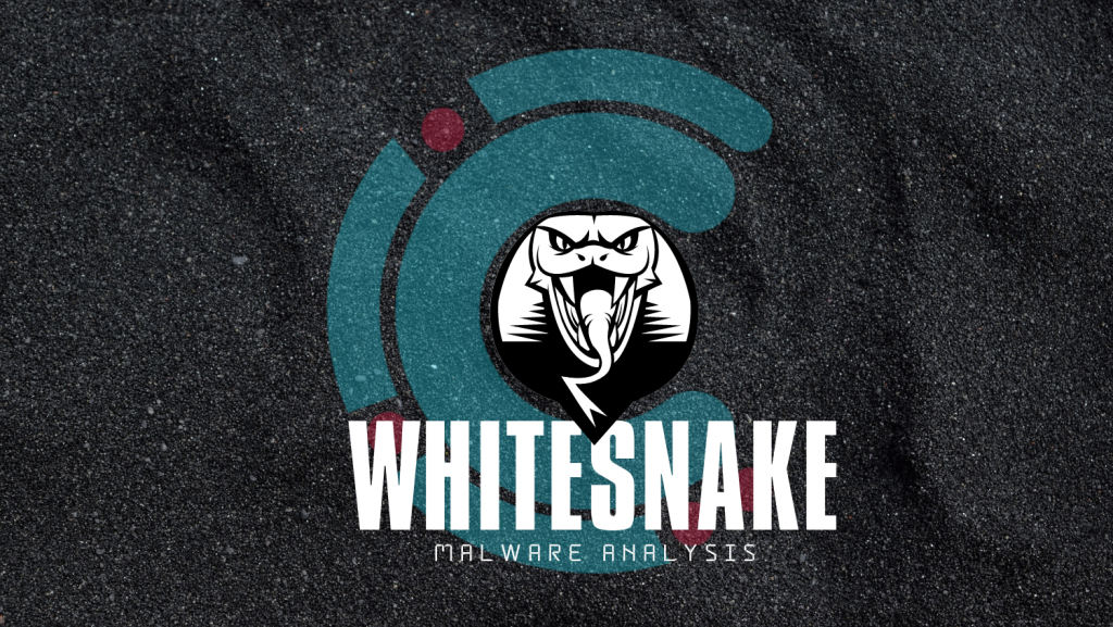 Malware Analysis: WhiteSnake Stealer - Cyberthint